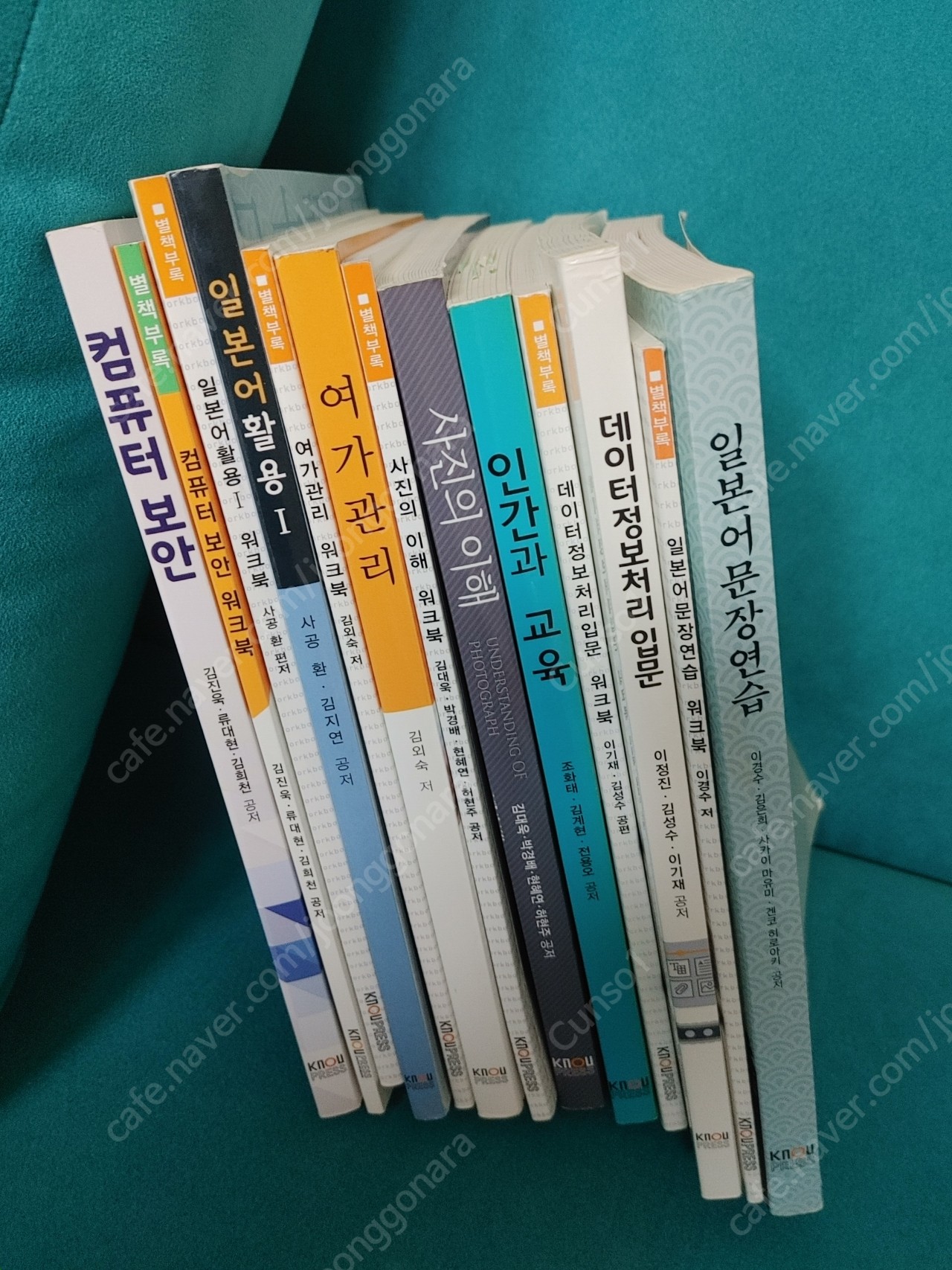 방통대교재 데이터정보처리입문인간과교육 사진의이해 학습교육 중고나라